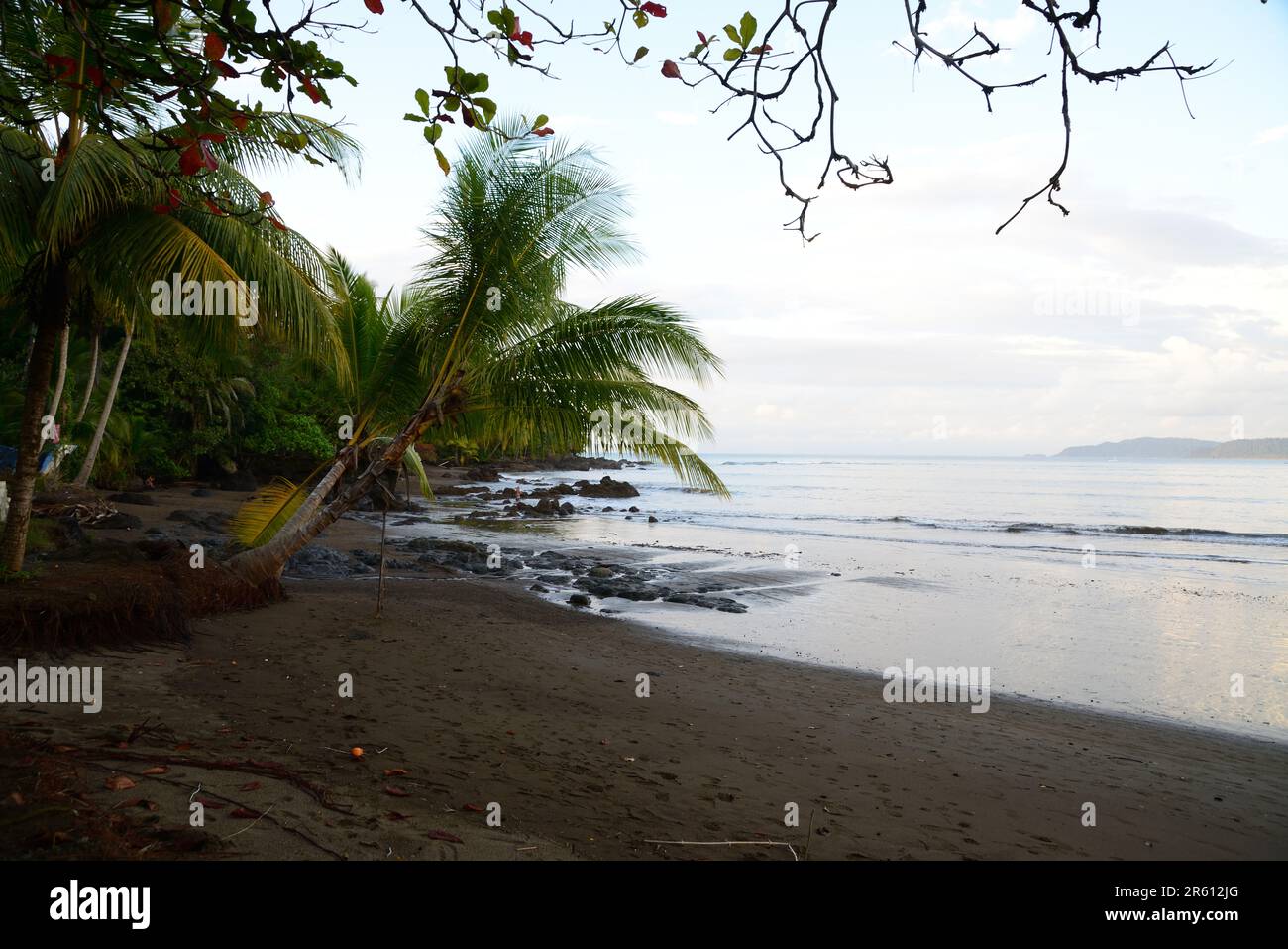 Drake's Beach, entrance to Corcovado National Park, Osa Peninsula, Costa Rica Stock Photo - Alamy