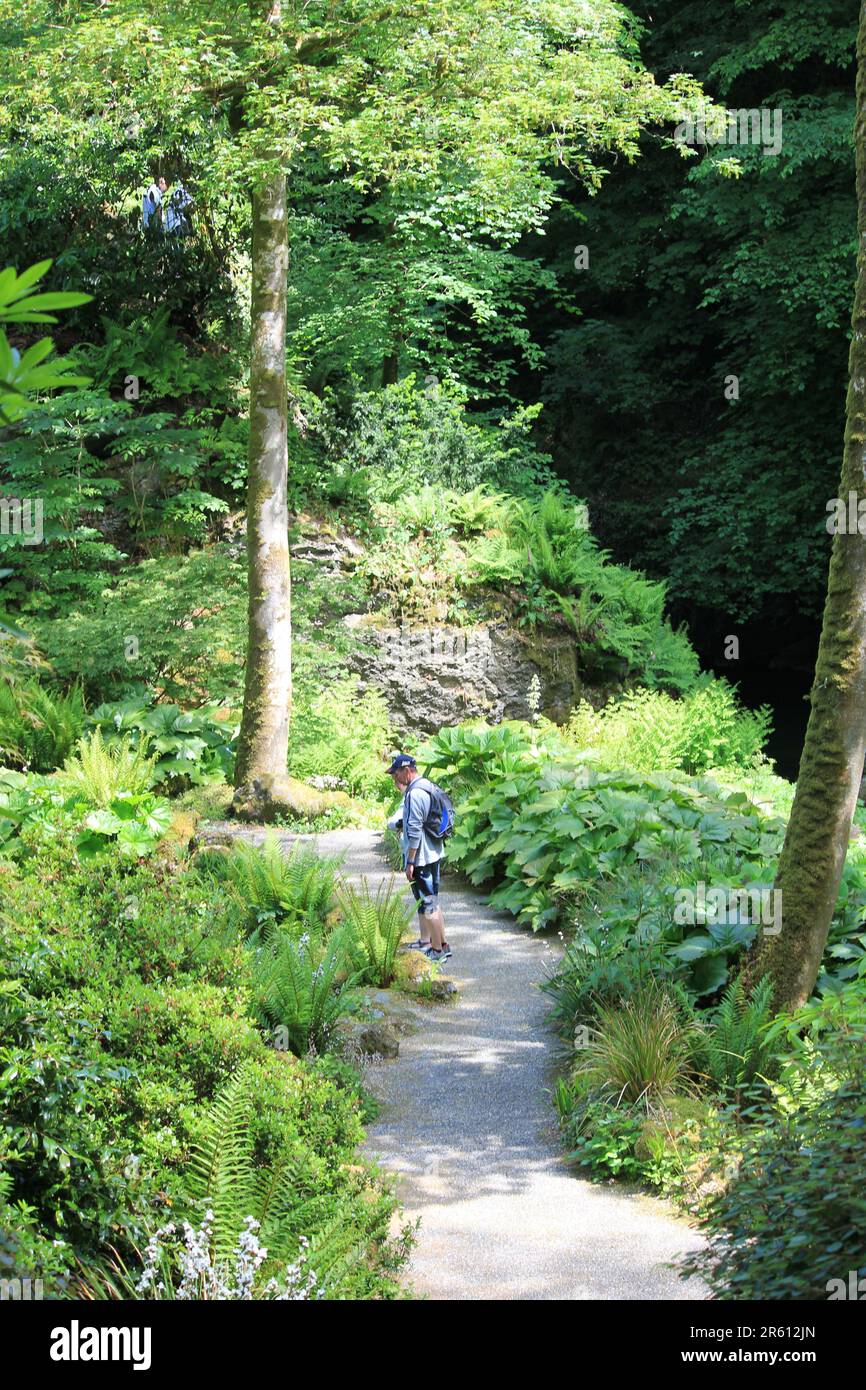 Discovering welsh gardens hi-res stock photography and images - Alamy
