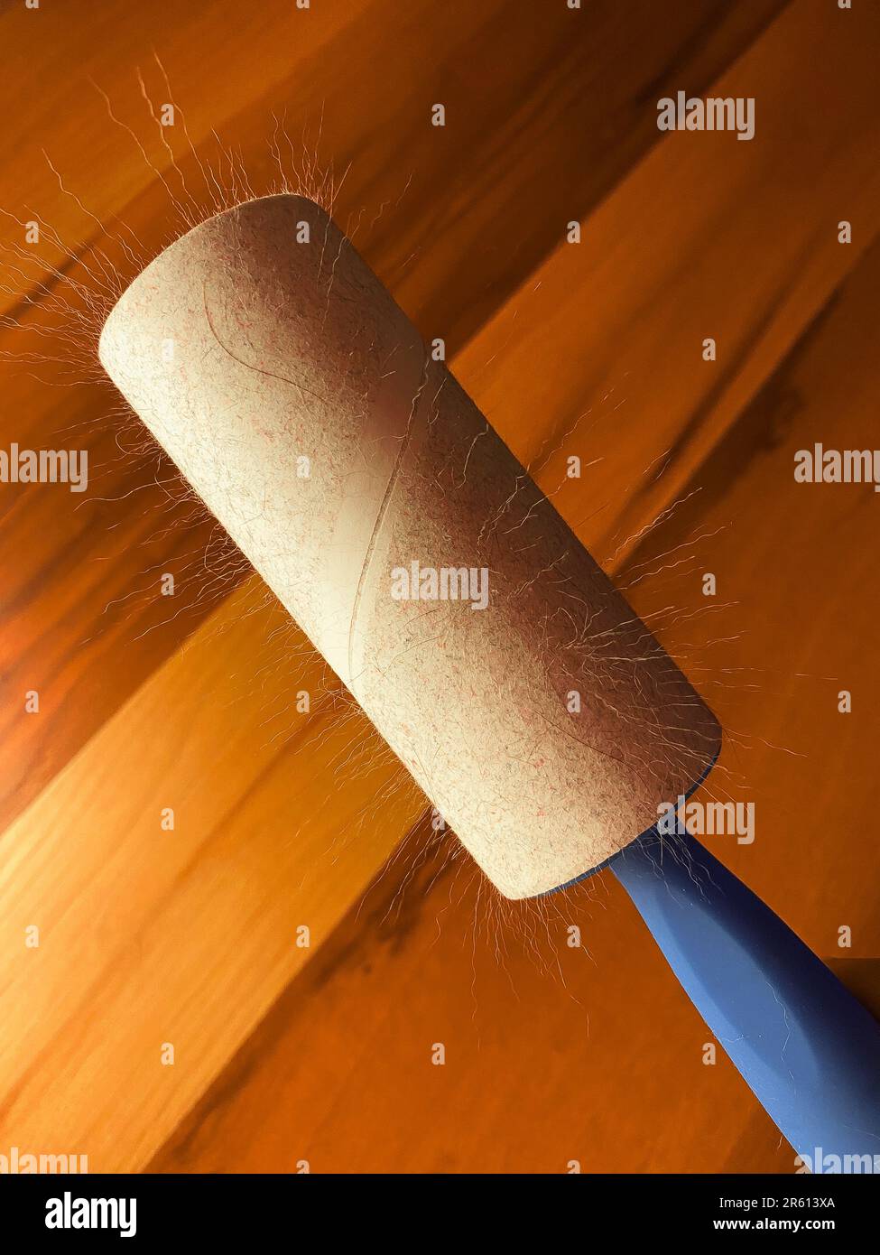 Cat fur elevated on roller by static electric close up view Stock Photo - Alamy
