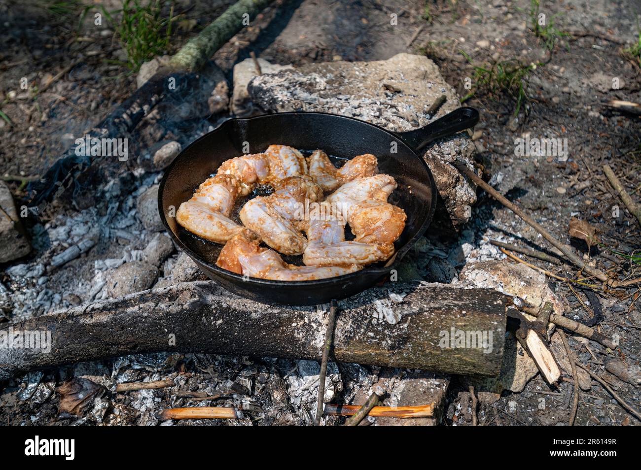 A plate of freshly cooked chicken wings roasting over an open campfire ...