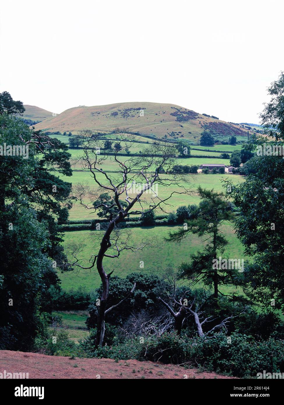 English castle view hi-res stock photography and images - Alamy