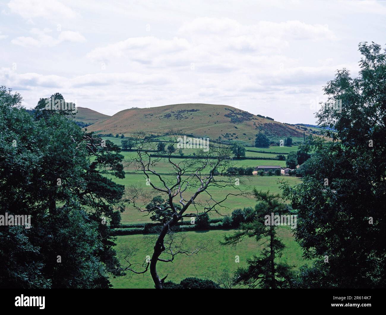England. Somerset. South Cadbury. View of rural countryside from ...