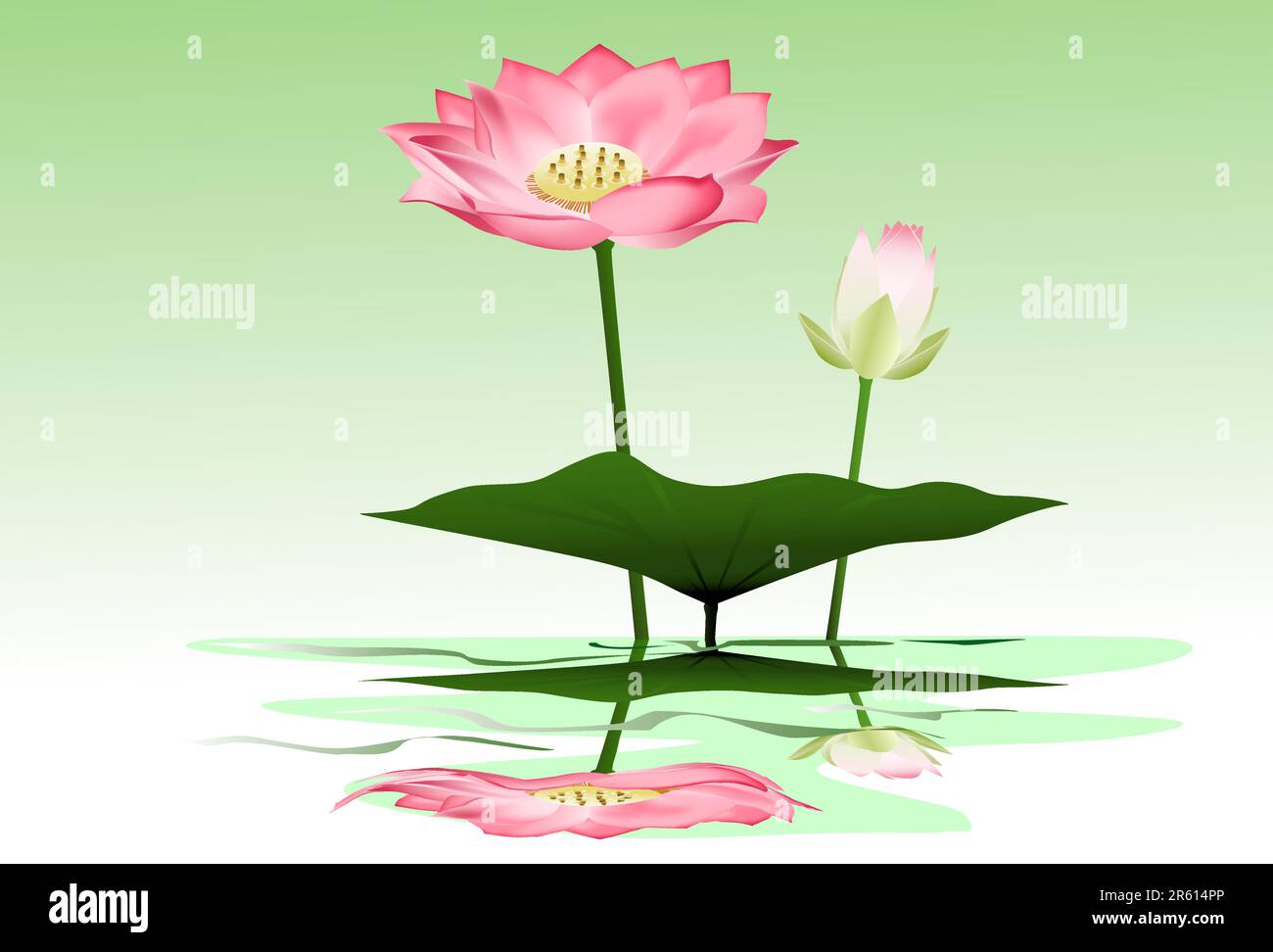 Flower reflection Stock Vector Images - Alamy