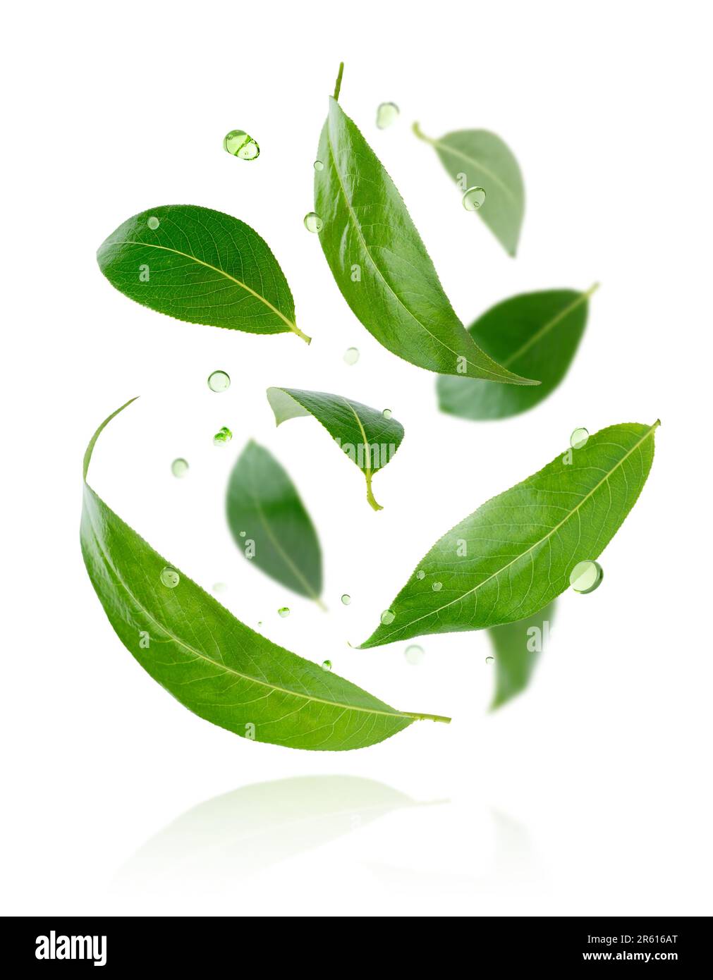 Composition of flying green leaves with drops isolated on white ...
