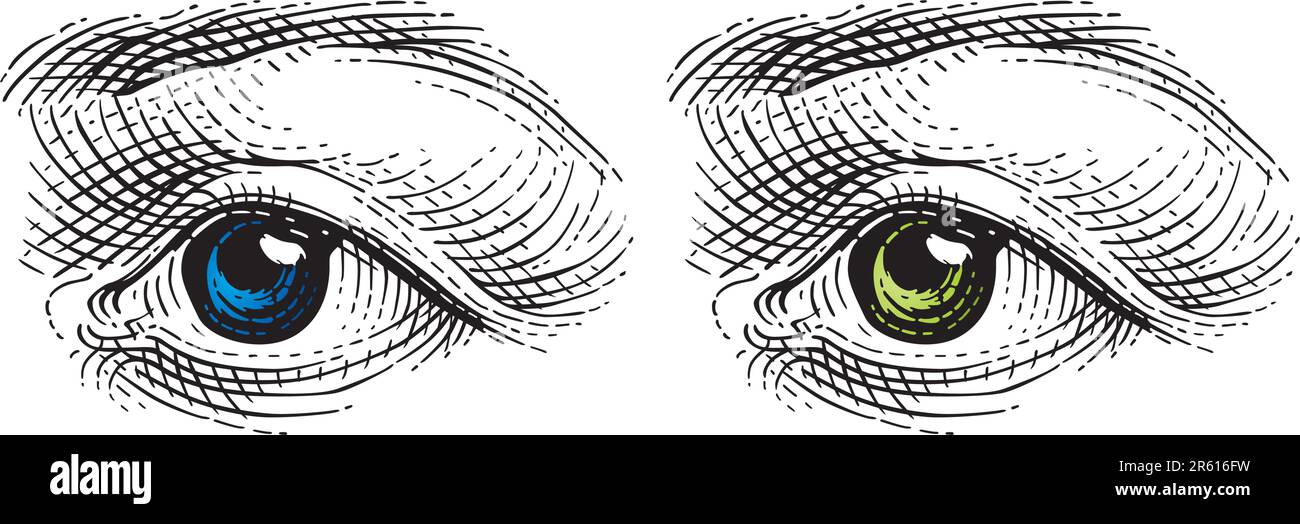 Healthy eyebrow Stock Vector Images - Alamy