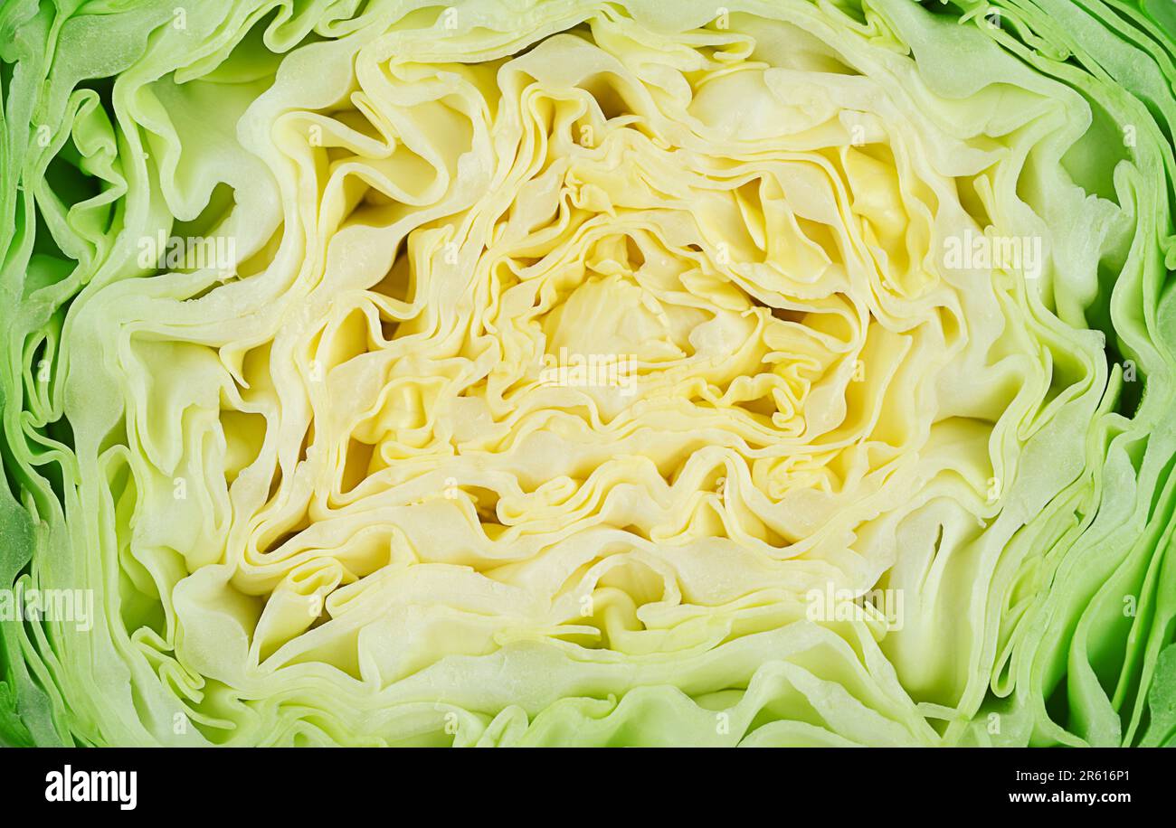 Texture of green cut cabbage. Food background Stock Photo - Alamy
