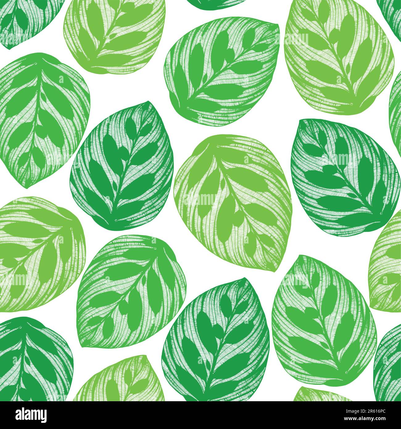 beautiful green leaves seamless pattern. Vector illustration Stock ...