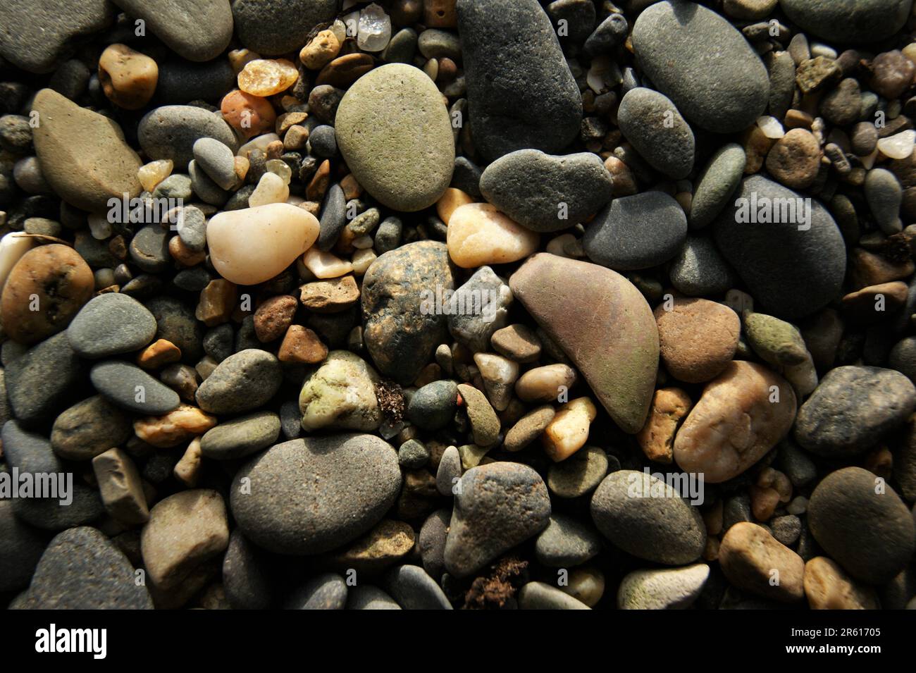 Stones of different sizes on the beach. Background texture Stock Photo ...