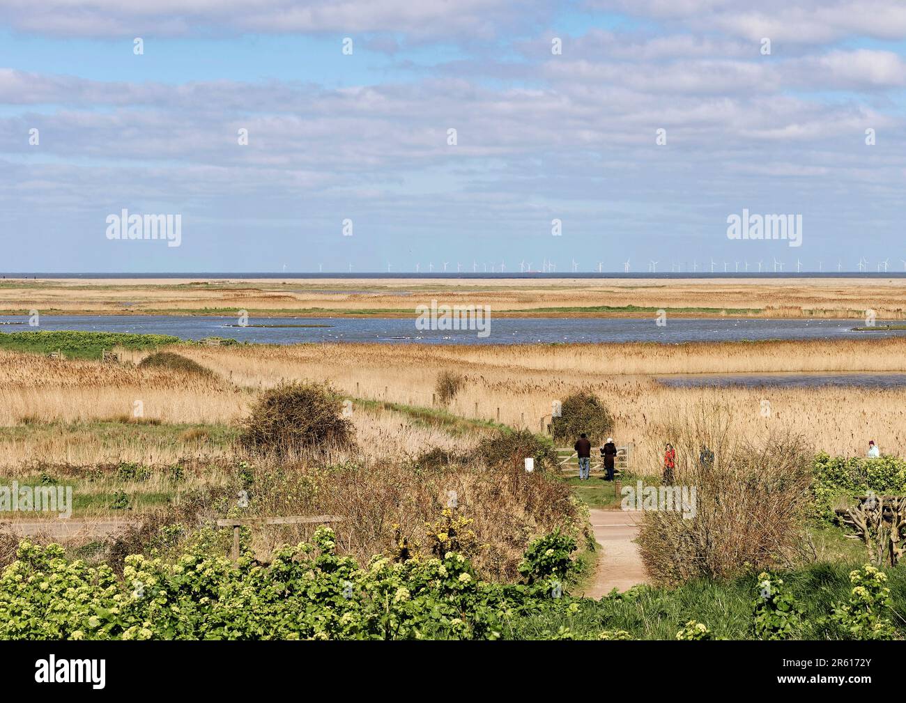 Lagoons salt marshes hi-res stock photography and images - Alamy