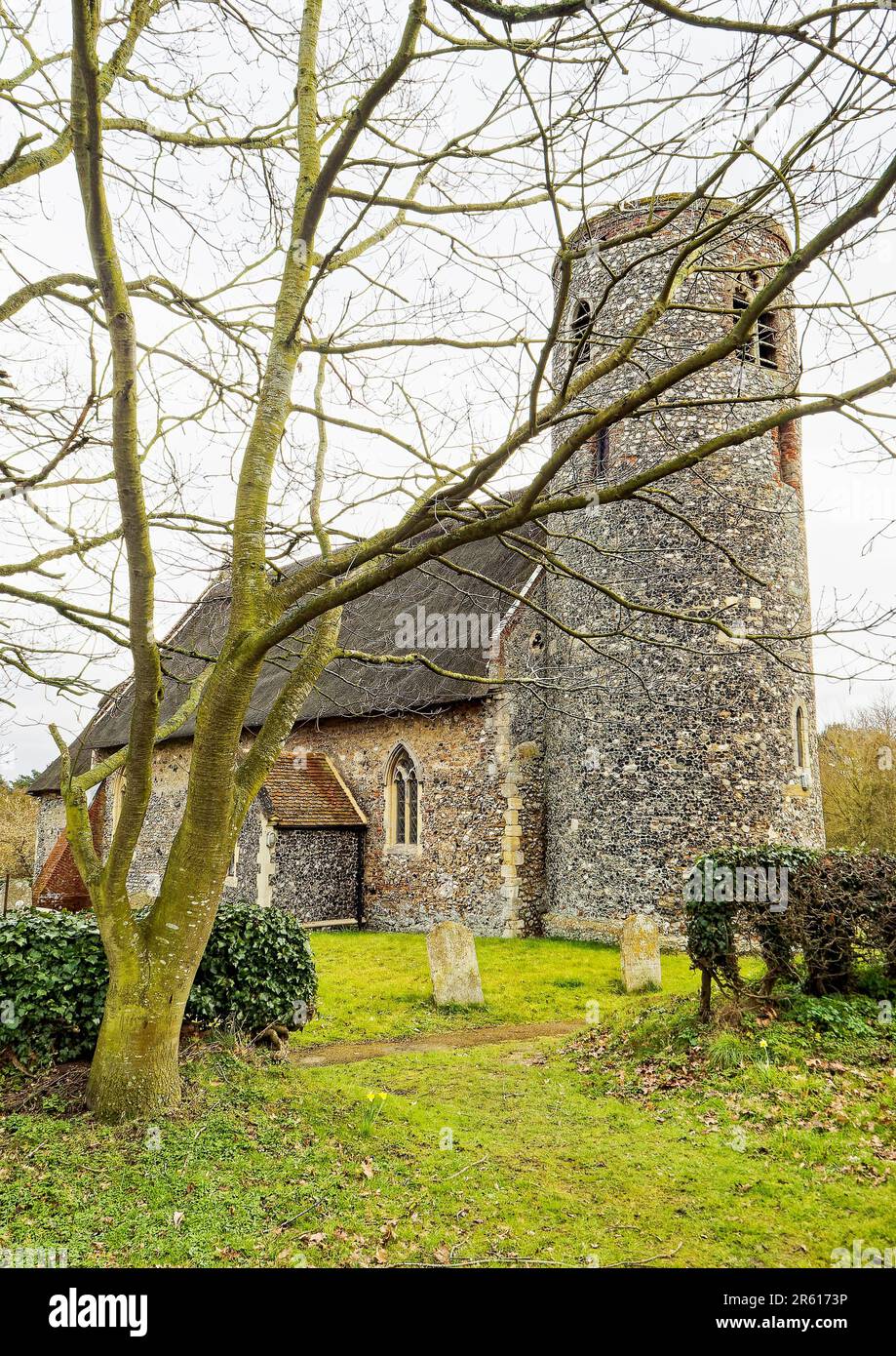 St Edmund’s Fritton near Great Yarmouth, a Norman round towered and ...