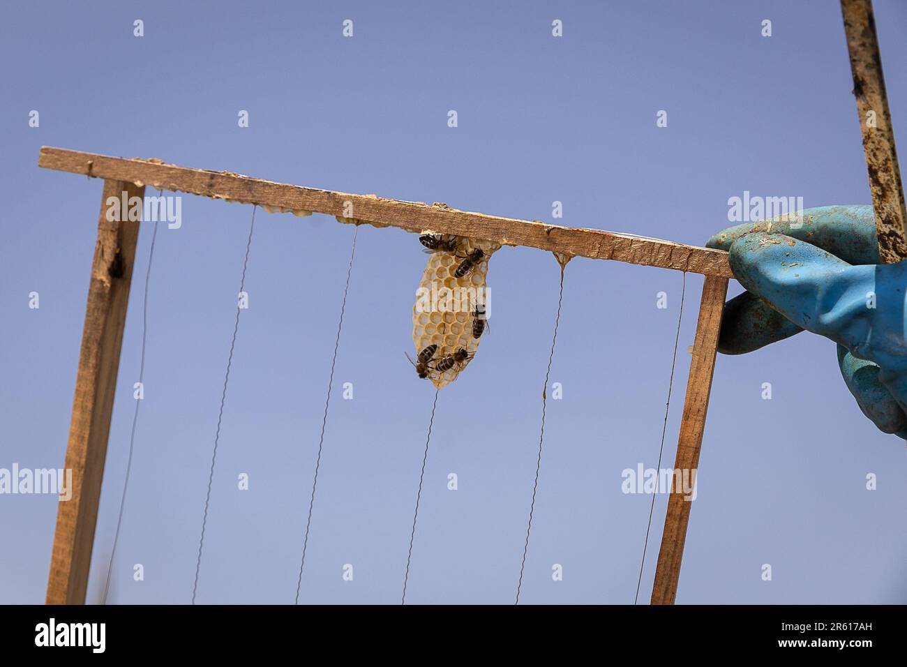 Nazareth, Belgium. 06th June, 2023. Illustration picture shows a ...