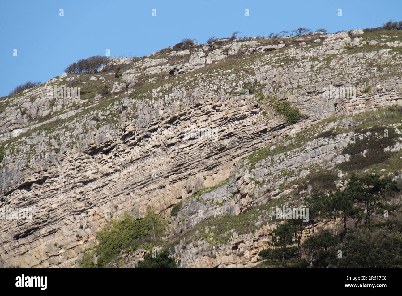 The Sloping Rock Beds of a Large Coastal Cliff Face Stock Photo - Alamy