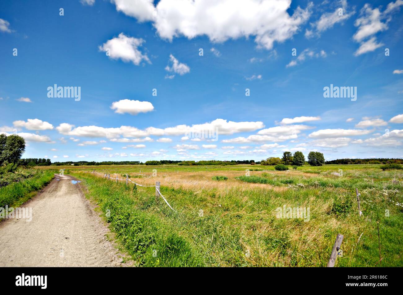 Path and green landscape with blue and cloudy sky Stock Photo - Alamy