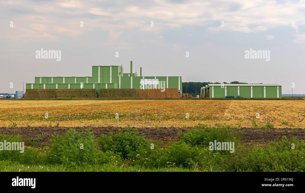 Agricultural Building Modern Farm Breeding of Dairy Cattle Stock Photo ...