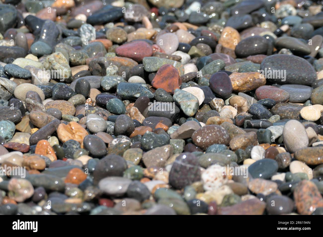 wet small pebbles on the beach in Batumi Stock Photo - Alamy