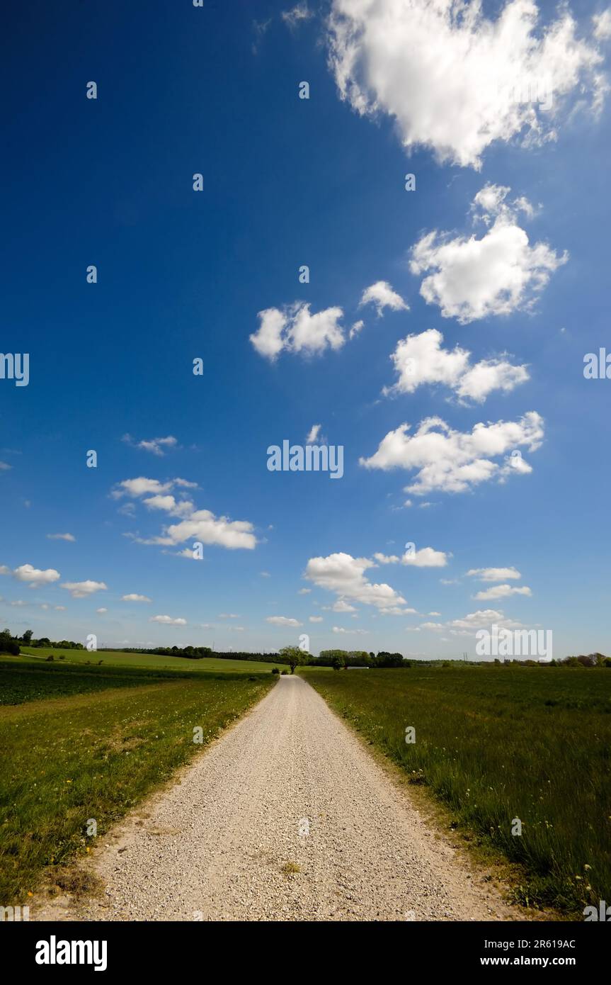 A pathway and nature withe green fields. Blue and cloudy sky Stock ...