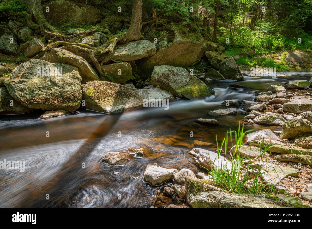 A rocky river surrounded by grass in forest Stock Photo - Alamy