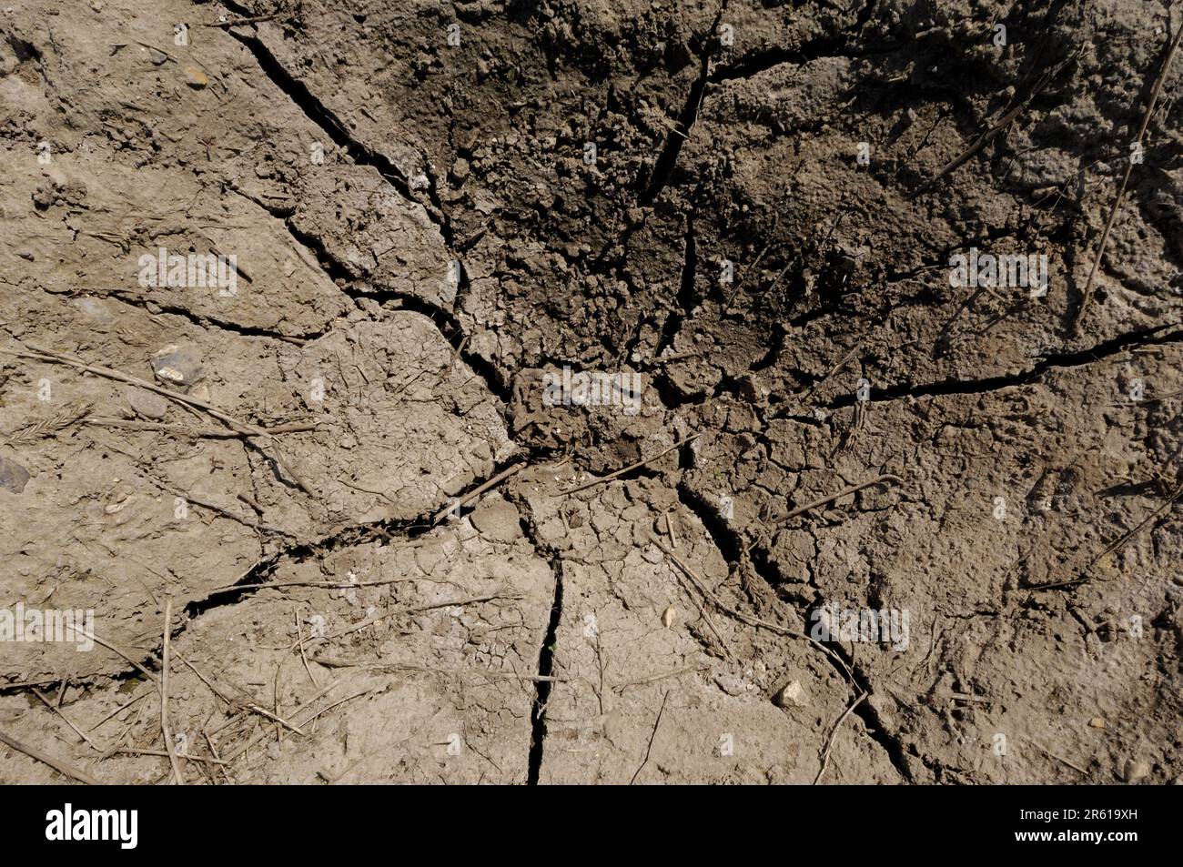 Dry soil with many cracks Stock Photo - Alamy