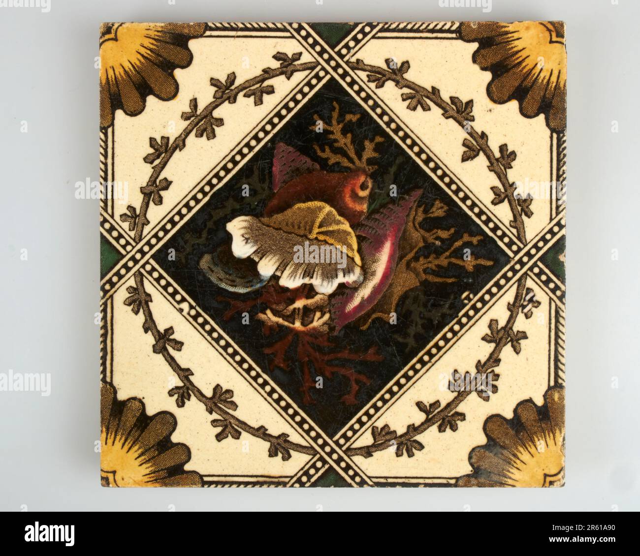 Antique 1890s Victorian transfer printed and hand coloured sea shell ...