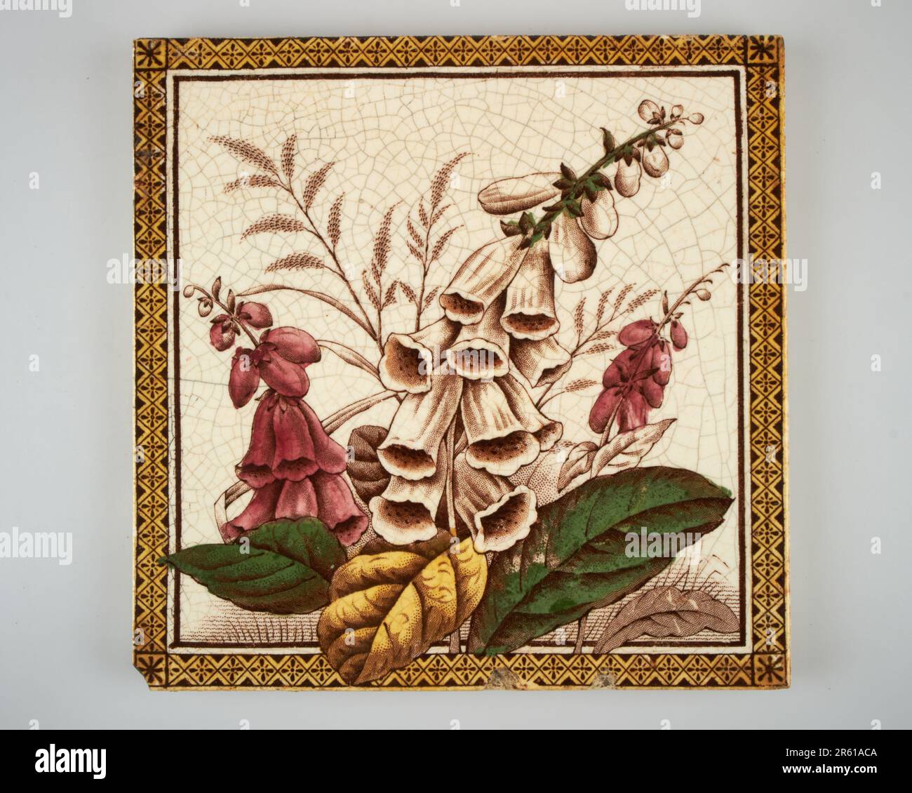 Antique 1890s Victorian hand coloured transfer printed foxglove pottery ...