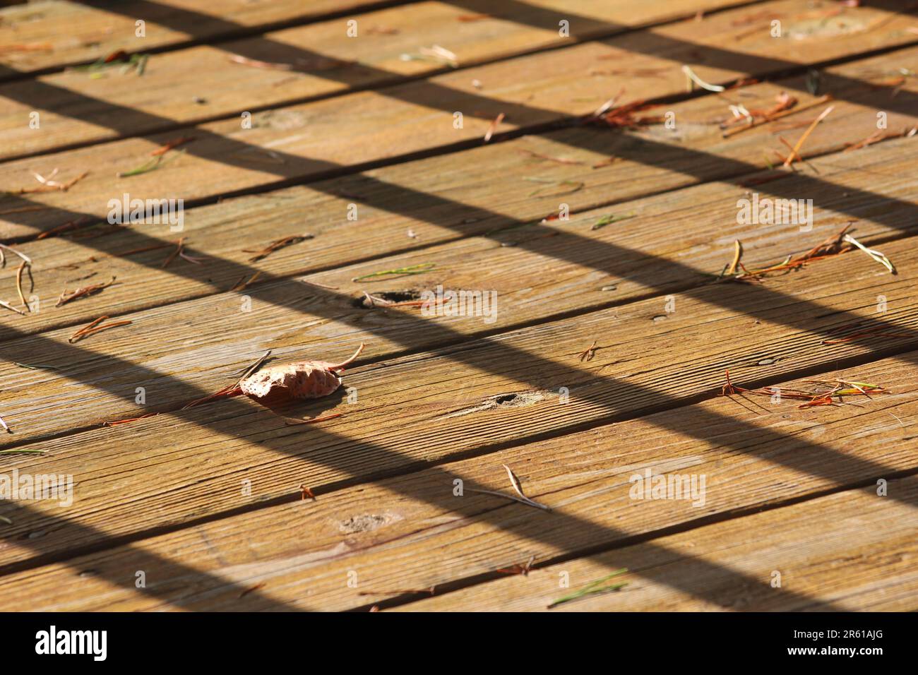 A single leaf sitting upon a wooden deck in the outdoor environment ...