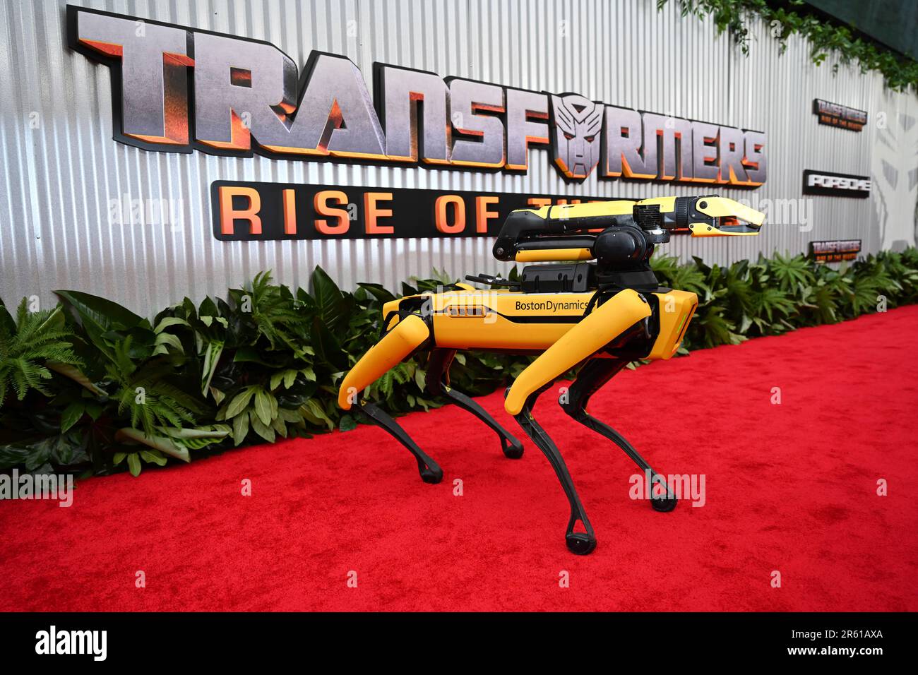 Photo by: NDZ/STAR MAX/IPx 2023 6/5/23 A Boston Dynamics robot at the ...