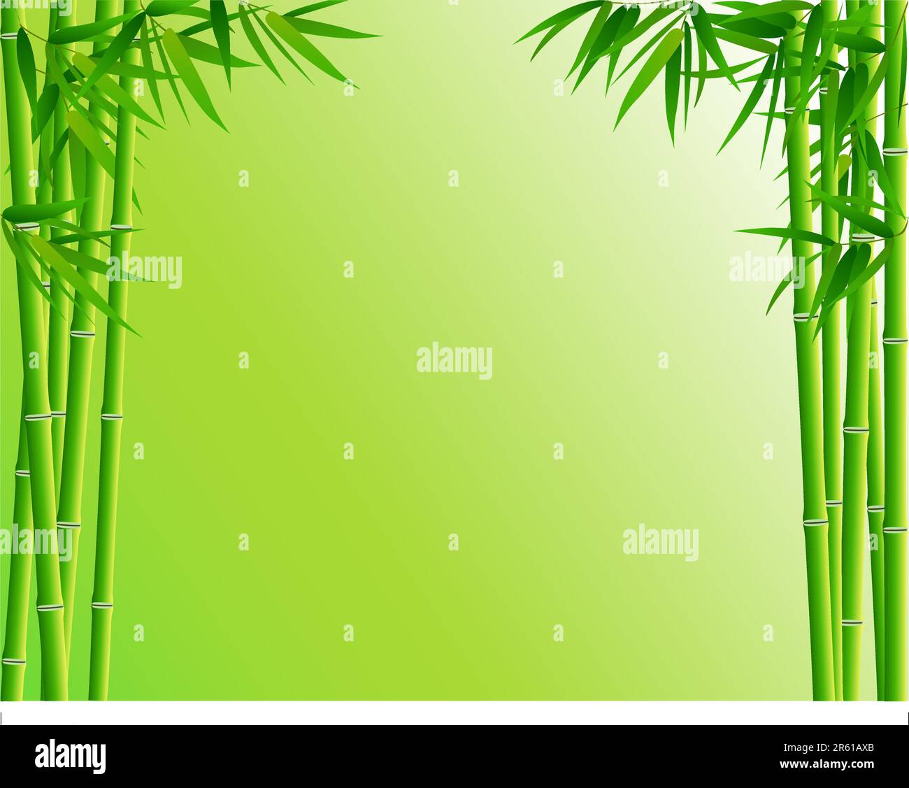 Bamboo detail leaf hi-res stock photography and images - Alamy