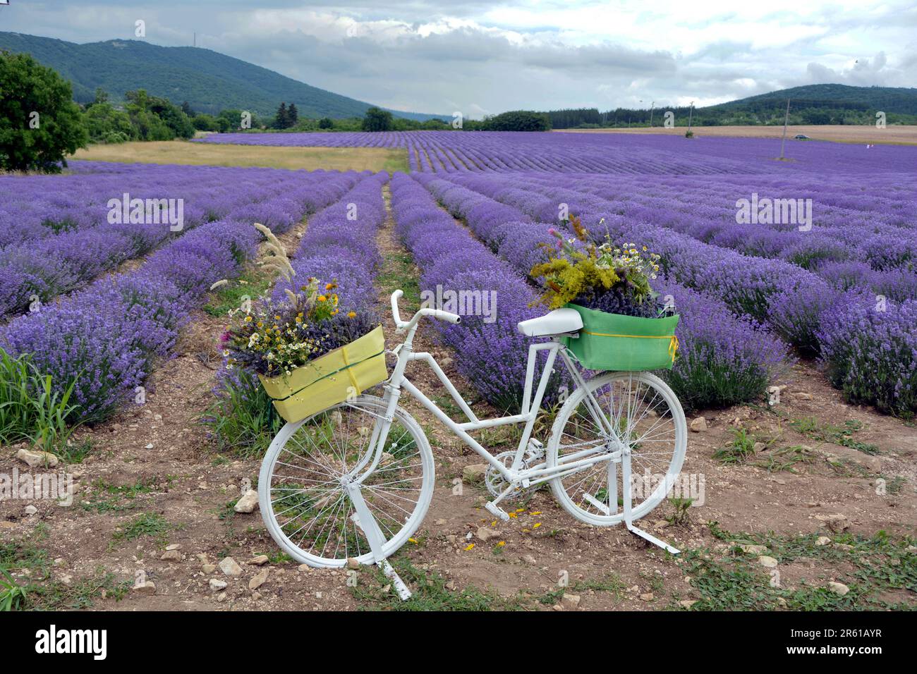 An art installation with a bicycle for taking pretty photos near the ...