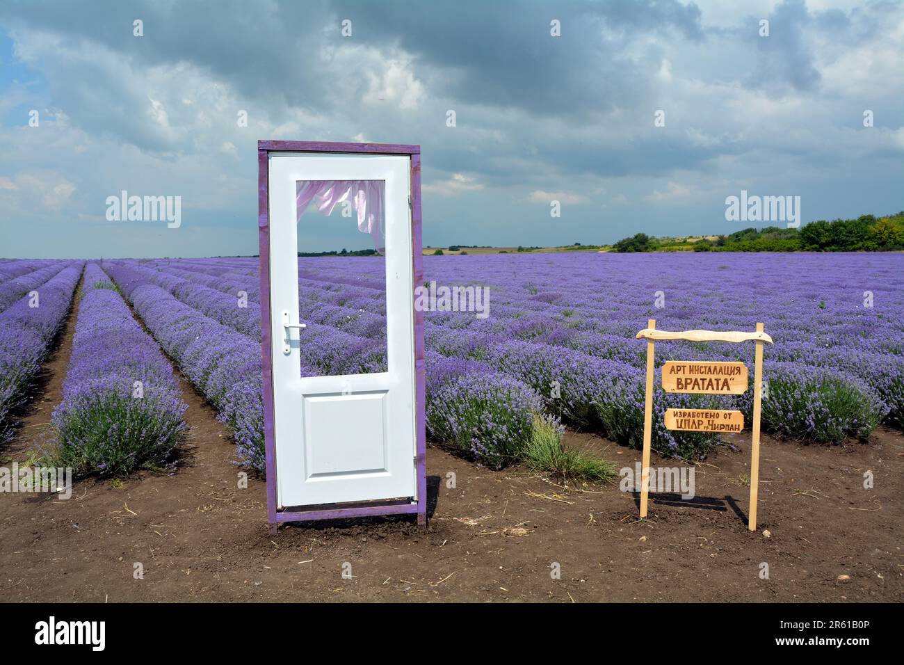 A lavender field with a door and signs saying “Art installation The ...