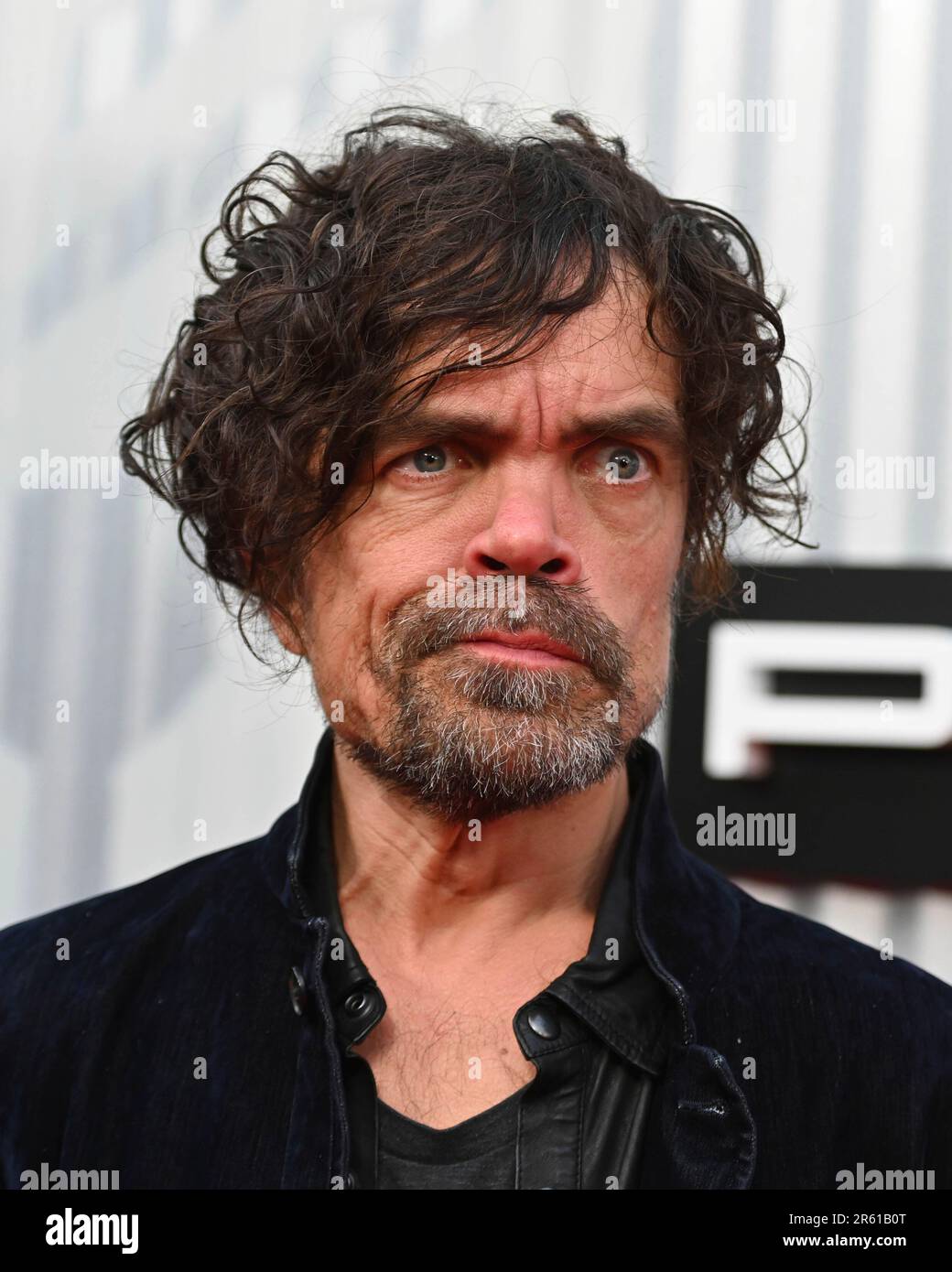 Photo by: NDZ/STAR MAX/IPx 2023 6/5/23 Peter Dinklage at the premiere of 'Transformers: Rise of ...