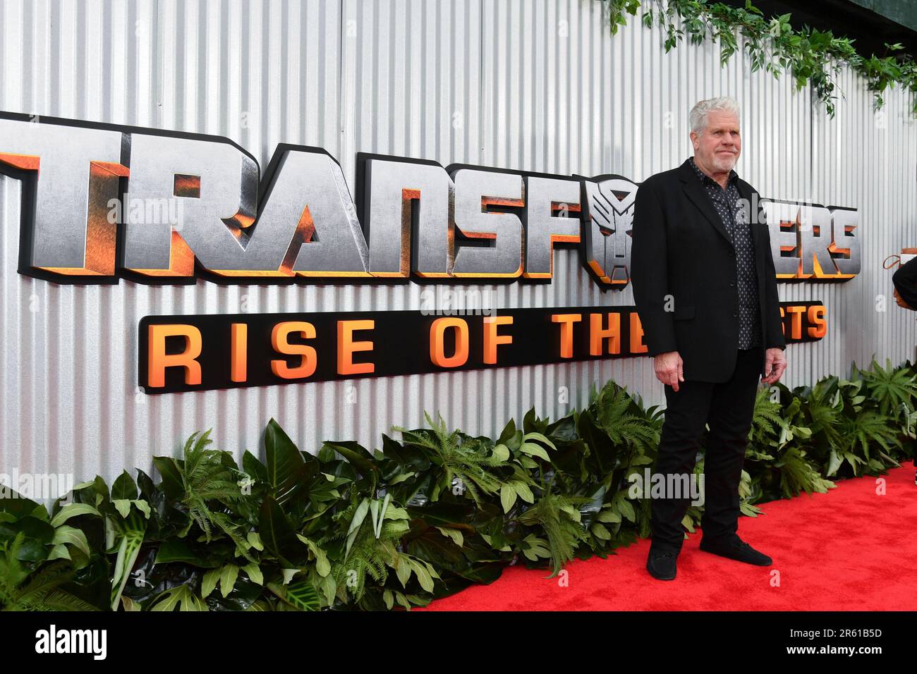 Photo by: NDZ/STAR MAX/IPx 2023 6/5/23 Ron Perlman at the premiere of ...