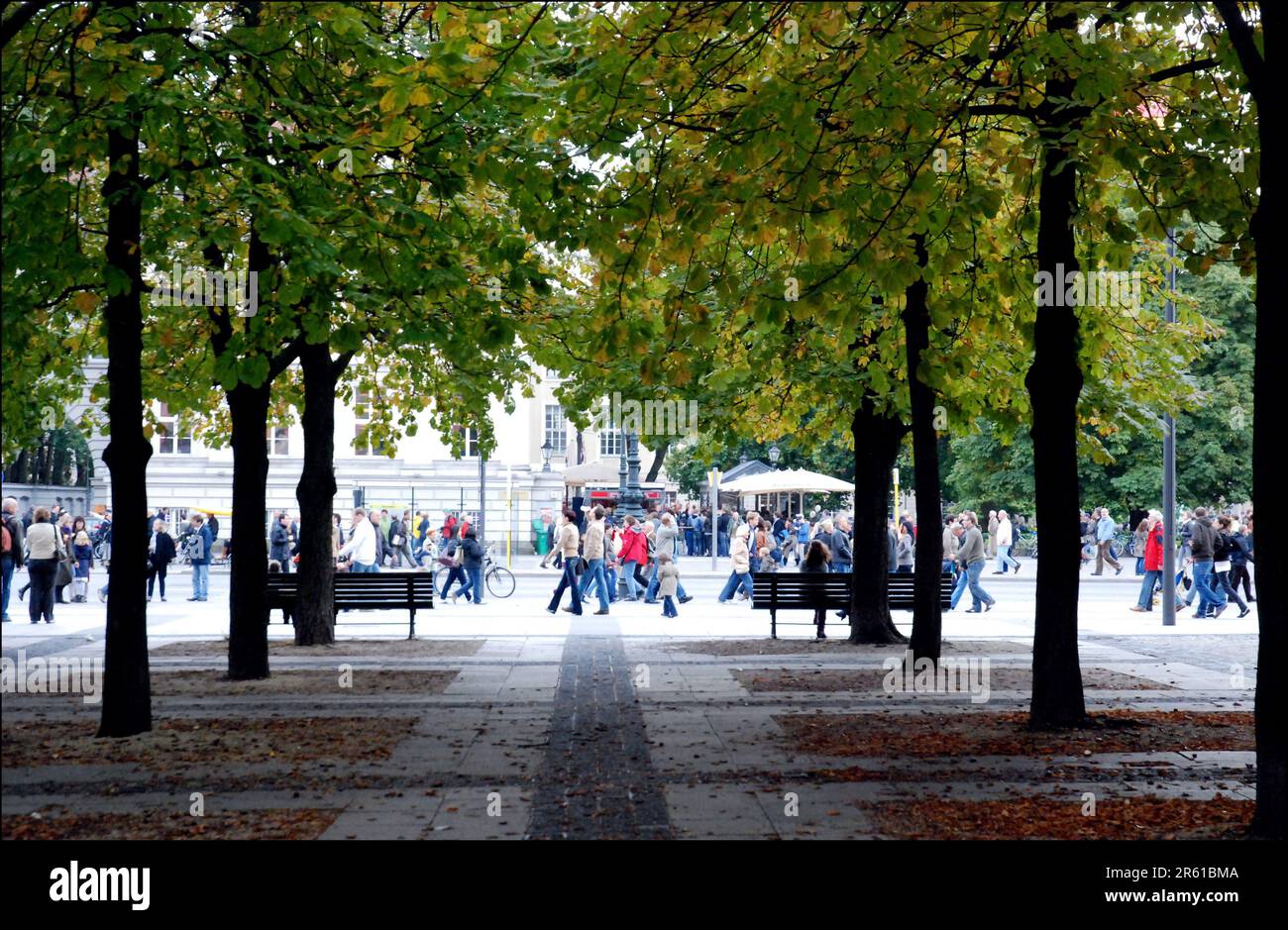 Unter den linden trees hi-res stock photography and images - Alamy