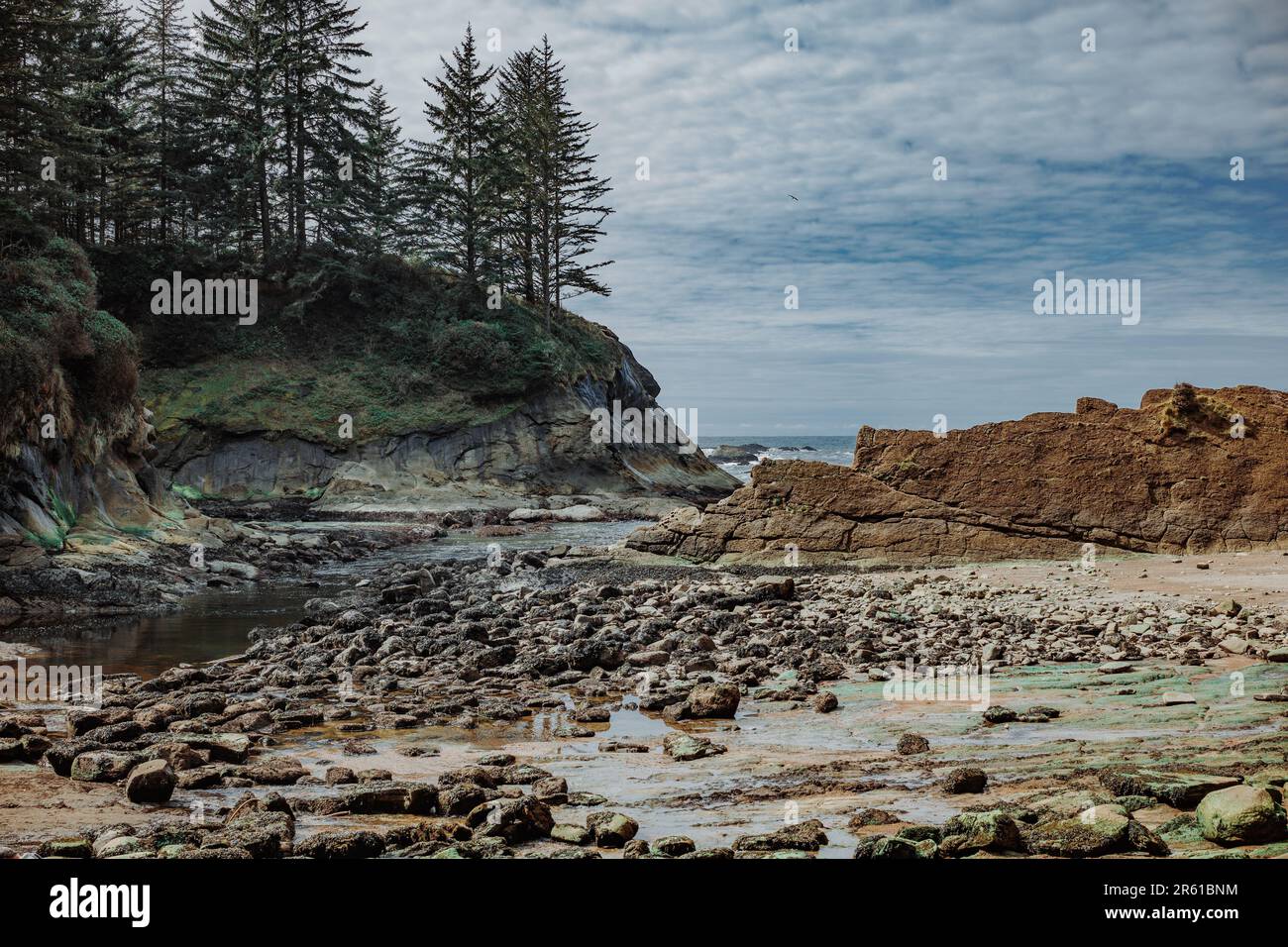 A scenic beach featuring a shoreline of rocks surrounded by crystal ...