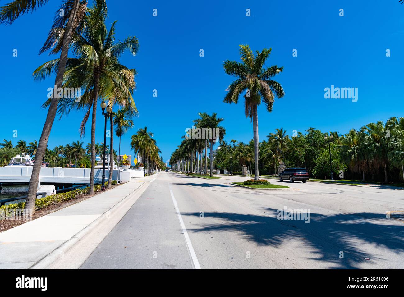 Scenic destination view of road with palms alone way in Beverly Hills ...