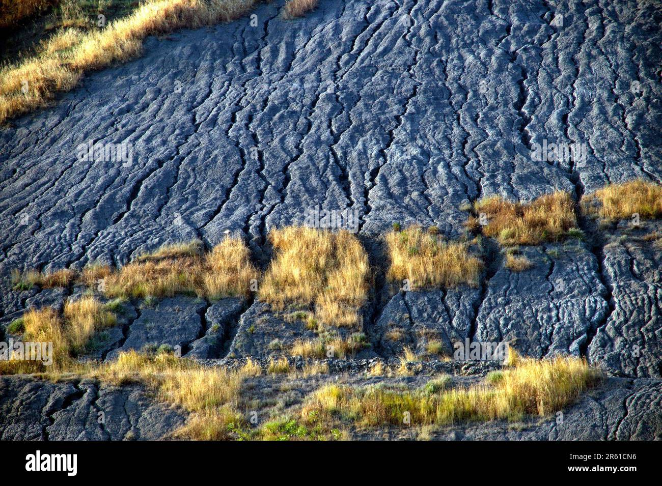 Dilavato hi-res stock photography and images - Alamy