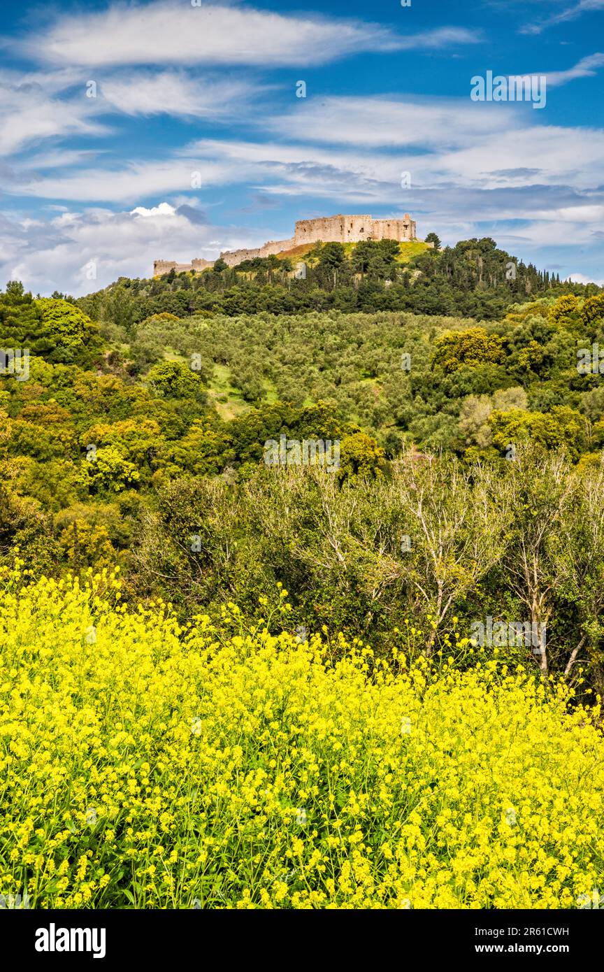 Frankish Castle of Chlemoutsi, 13th century, view from south, canola ...