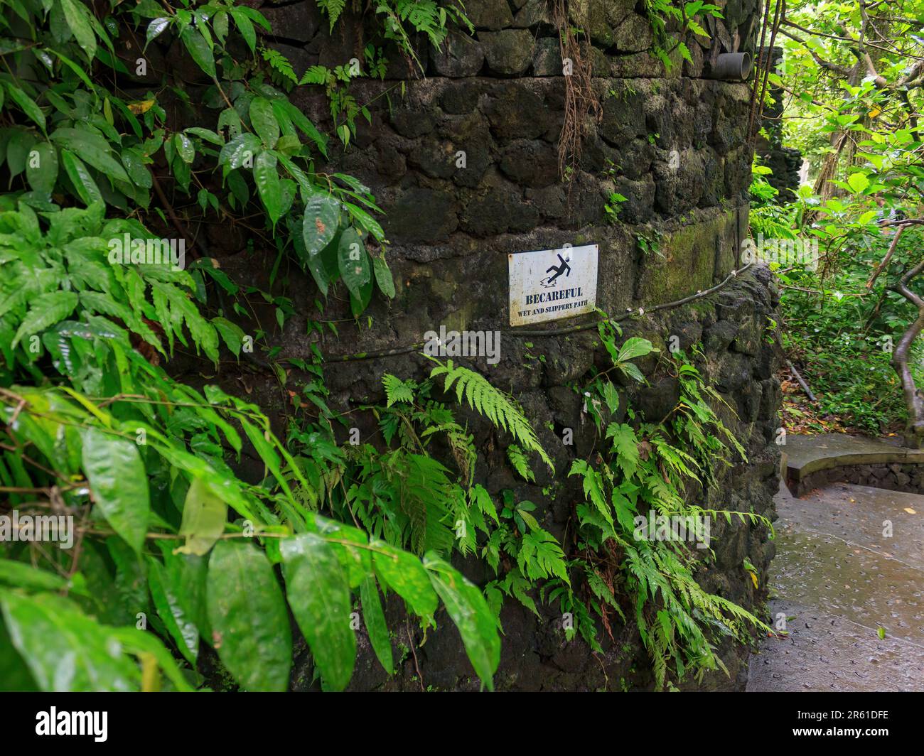 An old rock wall encircled by greenery and a slippery sign in the ...