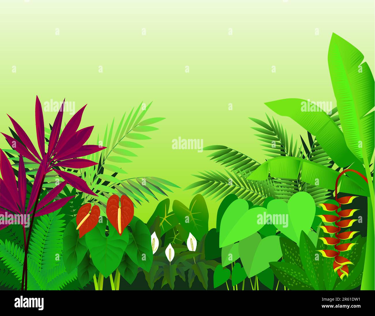 Tropical rain forest canopy Stock Vector Images - Alamy