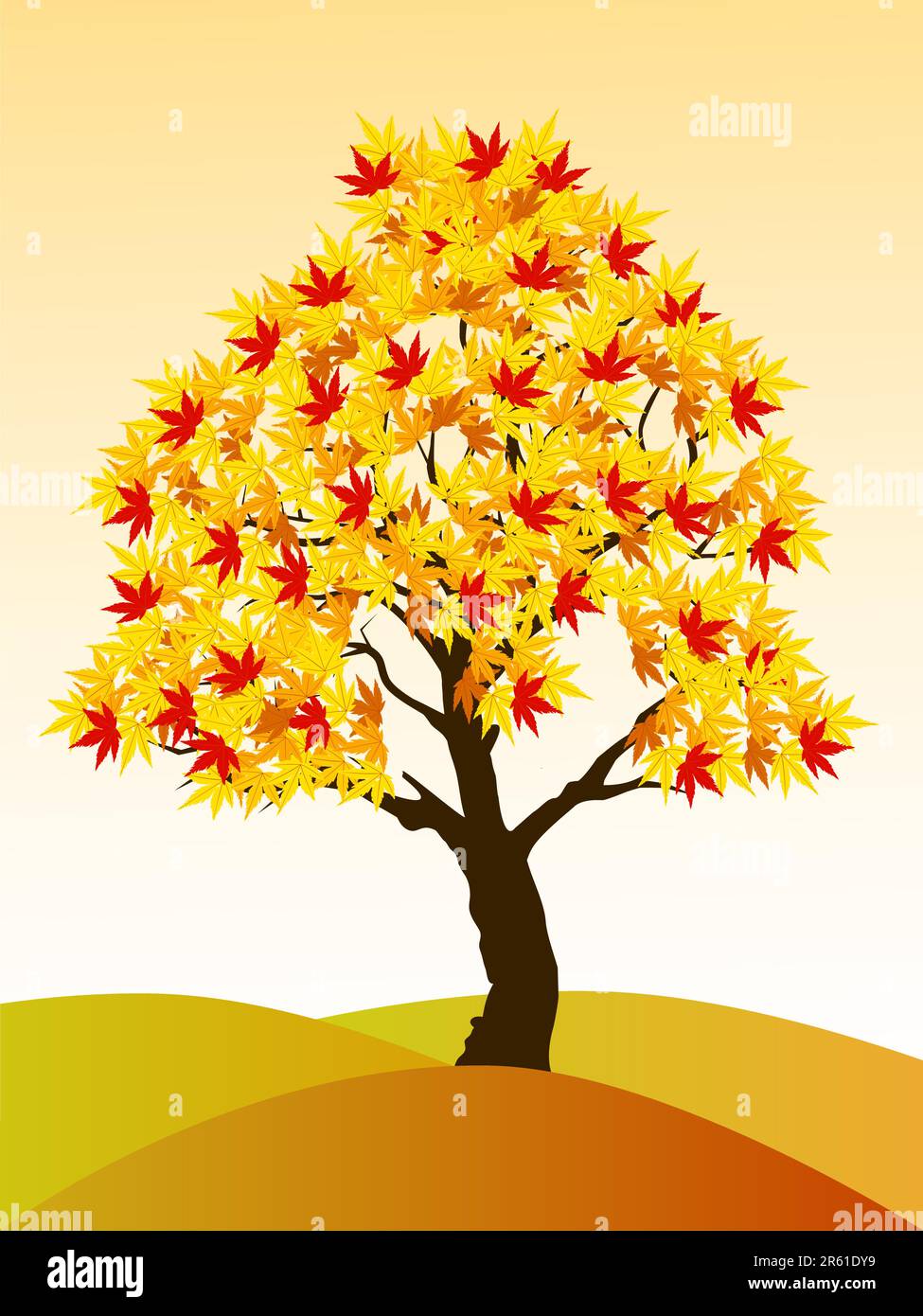 Bark of acer tree Stock Vector Images - Alamy