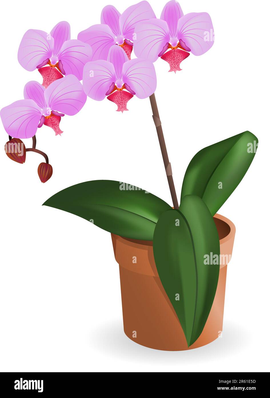 Beautiful landscape view nature Cut Out Stock Images & Pictures - Alamy