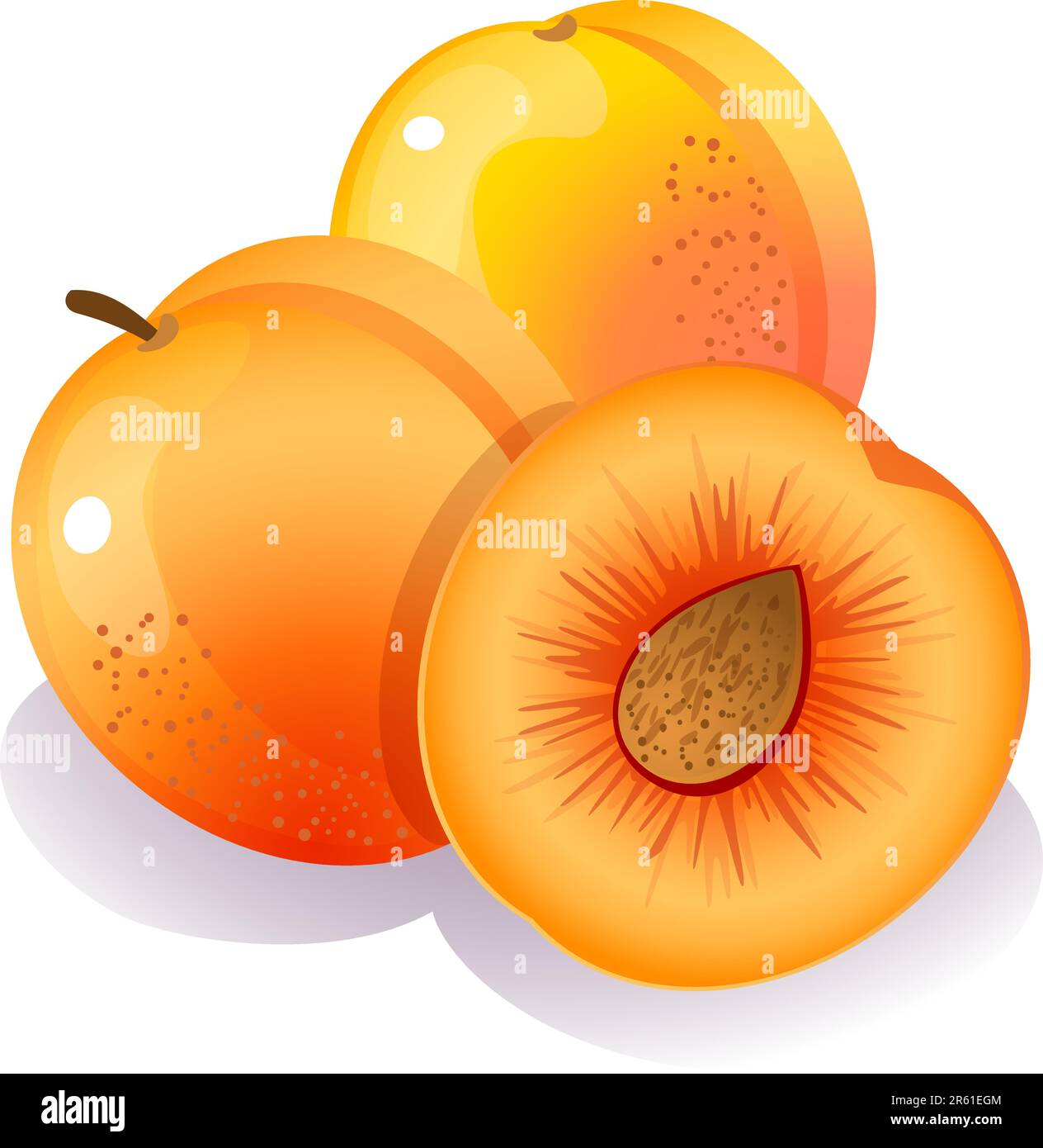 Vector illustration - Three ripe peaches Stock Vector Image & Art - Alamy Vector illustration - Three ripe peaches Stock Vector Image & Art - Alamy