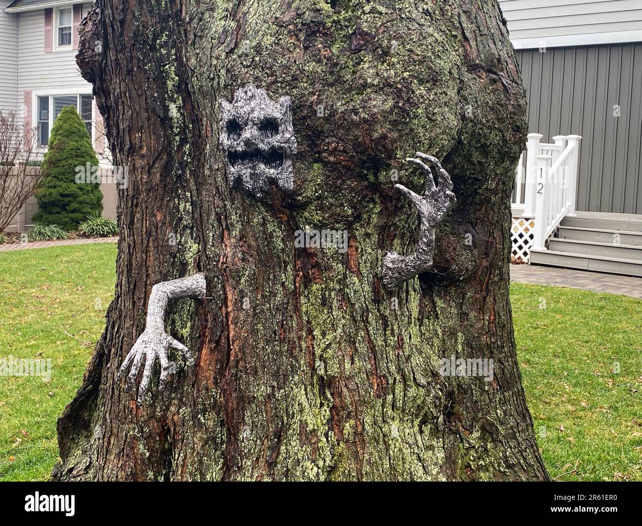 Tree decorated to look like it has a monster inside of it trying to get ...
