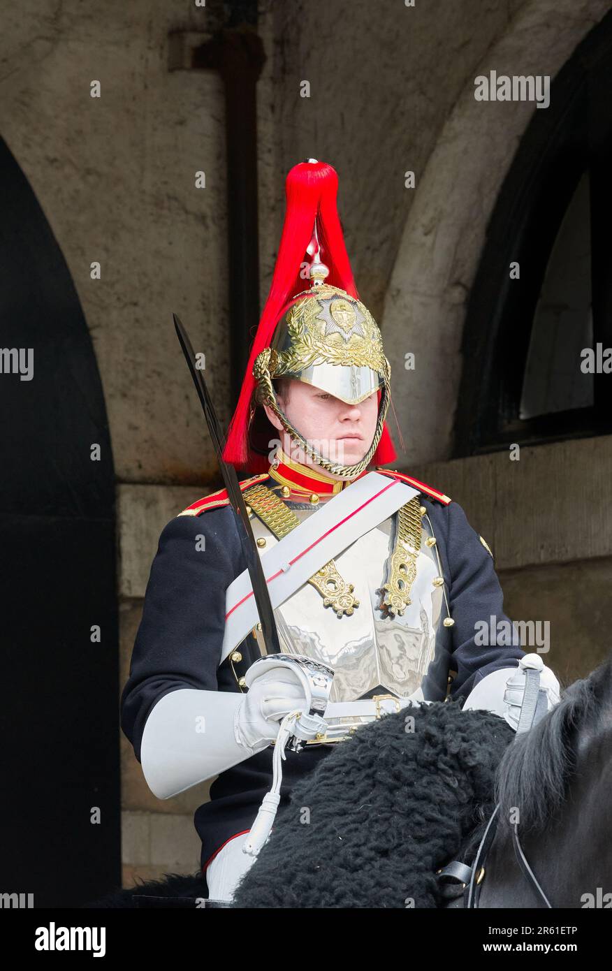 Male member of Household Cavalry Mounted Regiment on ceremonial duty ...