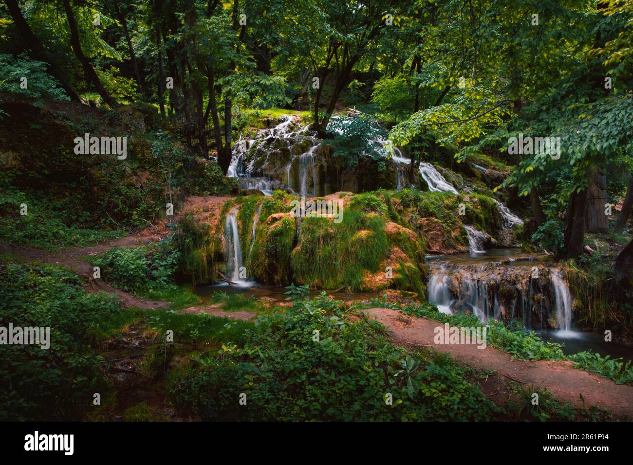 A tranquil, idyllic scene of a natural stream flowing through a forest ...