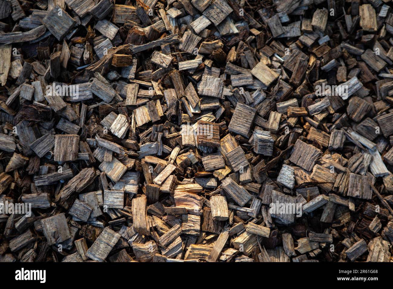 Bark chips hi-res stock photography and images - Alamy