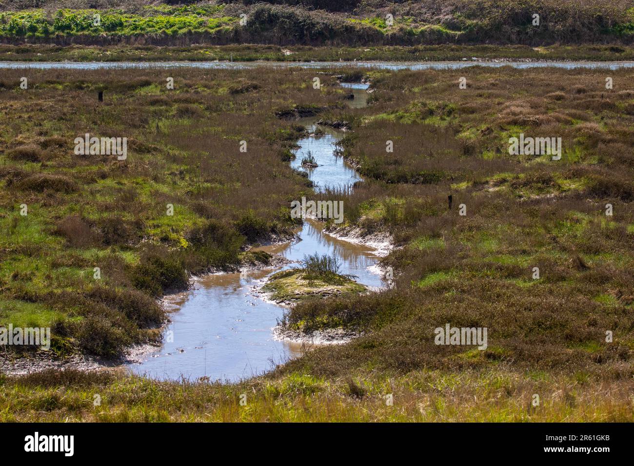 Essex marshes leigh on sea hi-res stock photography and images - Alamy