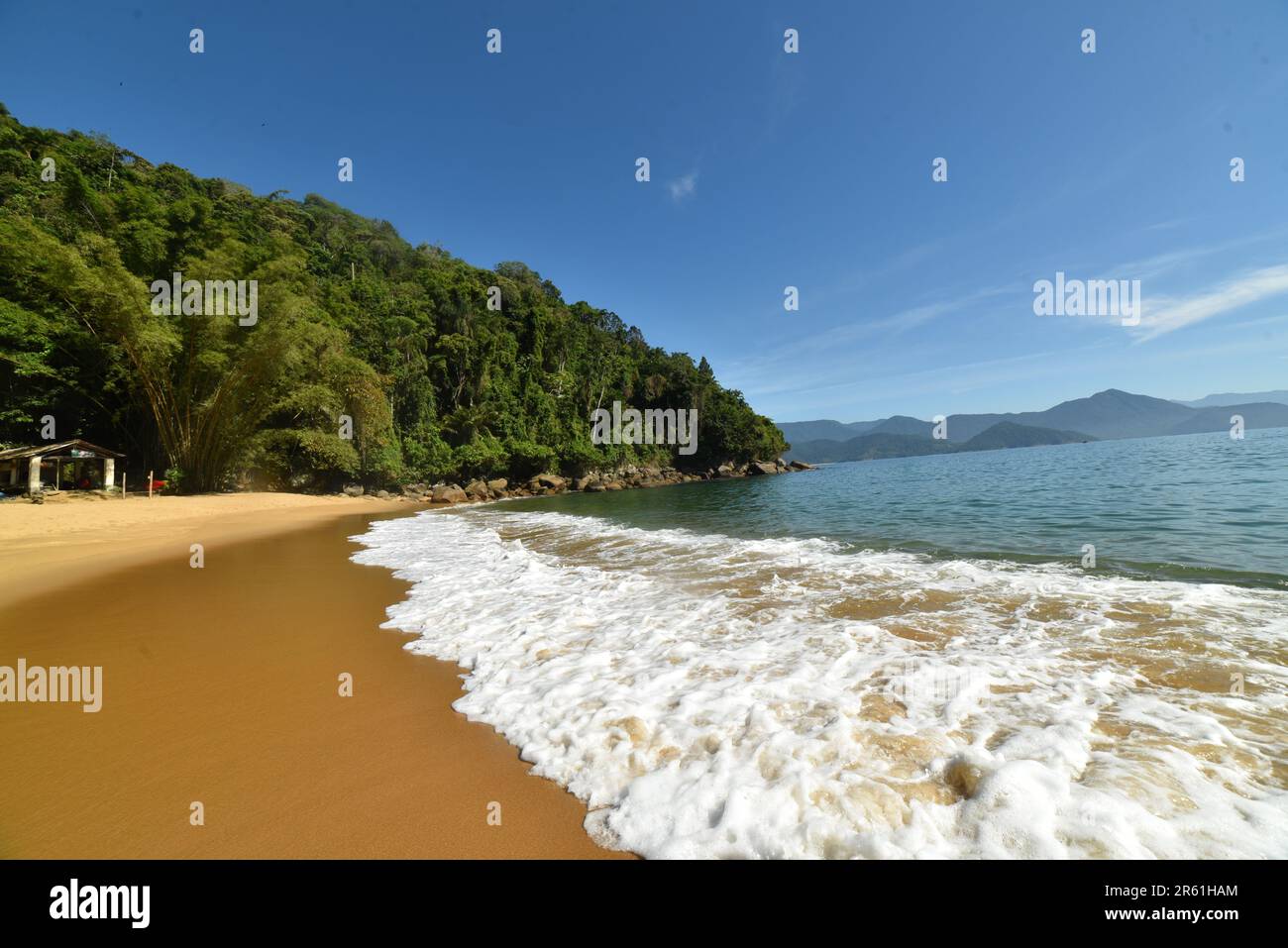 A scenic beach with rolling waves lapping the shoreline and lush green ...