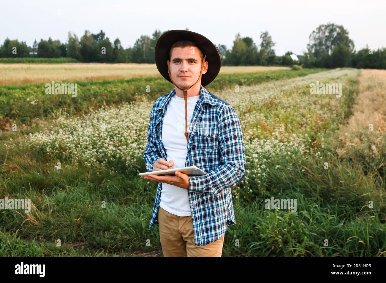 Farmer market. A diligent farmer meticulously inspects his crops in a ...