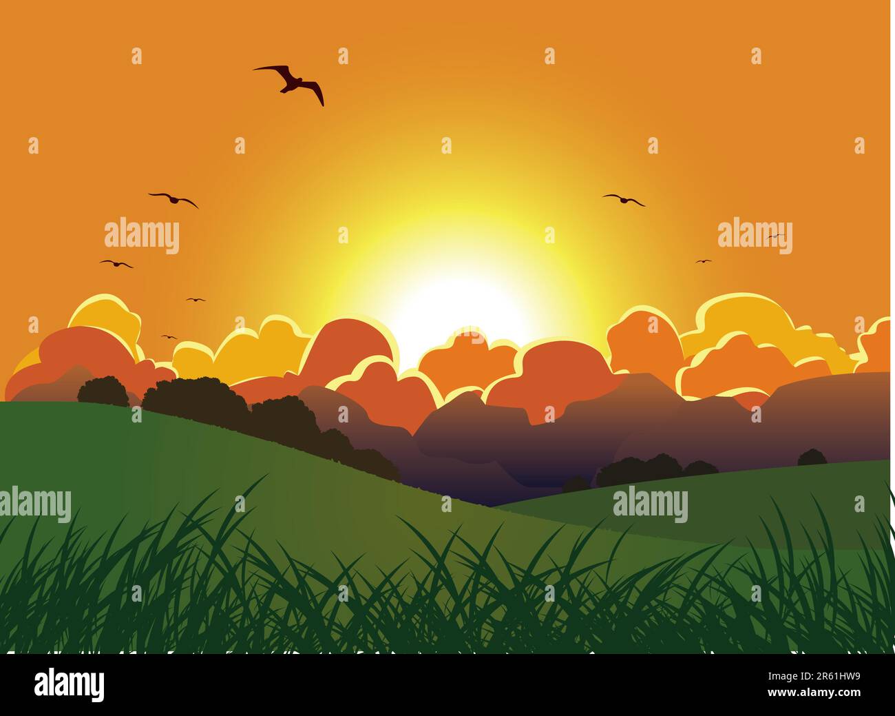 Grass orange sky sunset Stock Vector Images - Alamy
