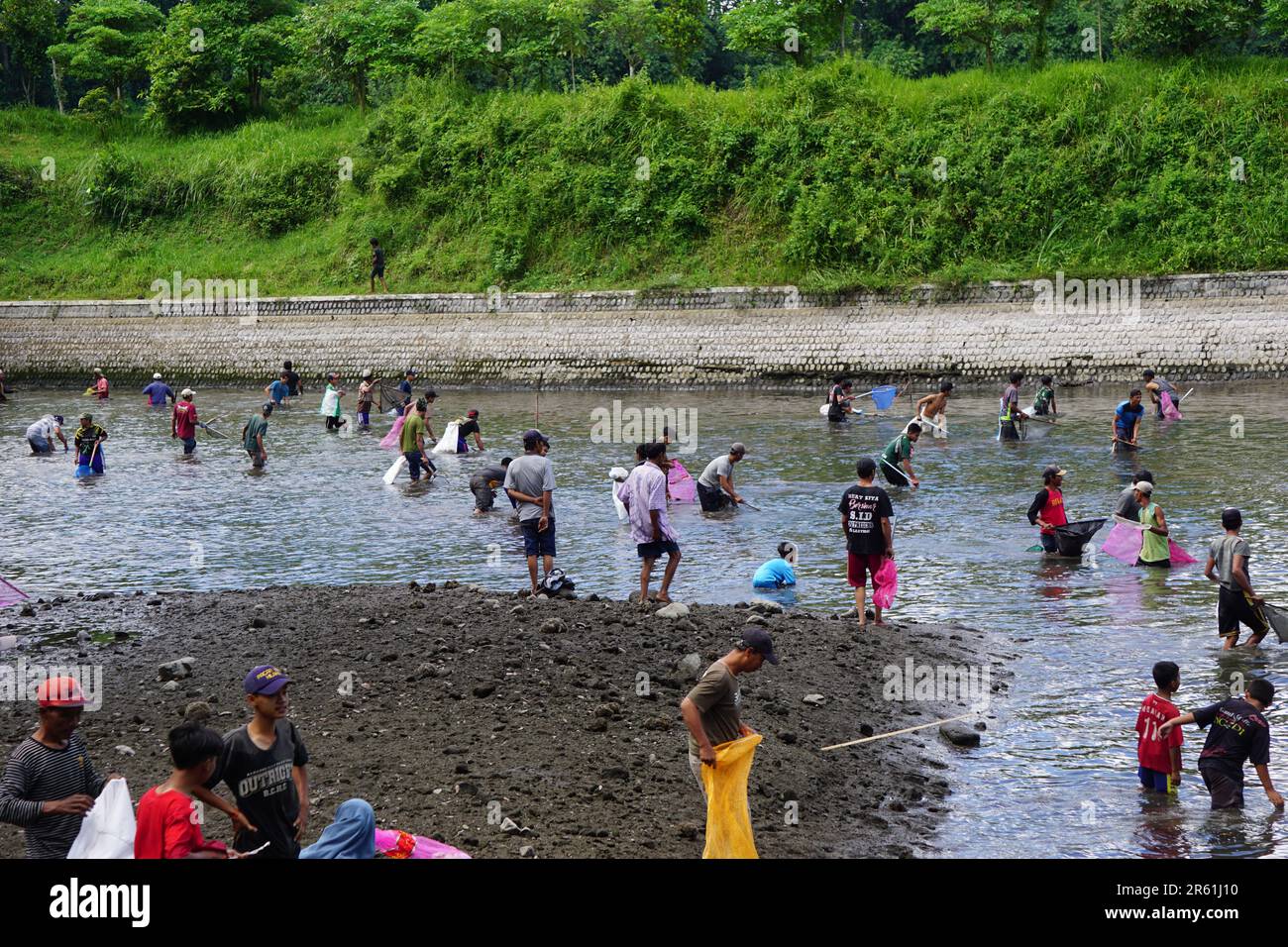 People fishing on gropyok iwak at sumber jembangan. Gropyok iwak means ...